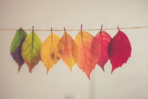 Tired Of Outdated Processes In Your Organisation? How To Change or ...